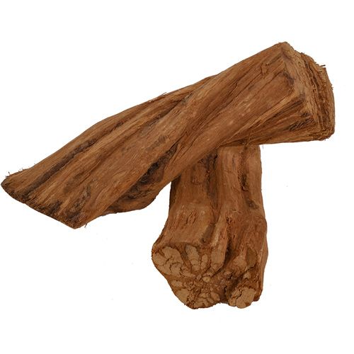 Banisteriopsis caapi - Red | Dutch-smart