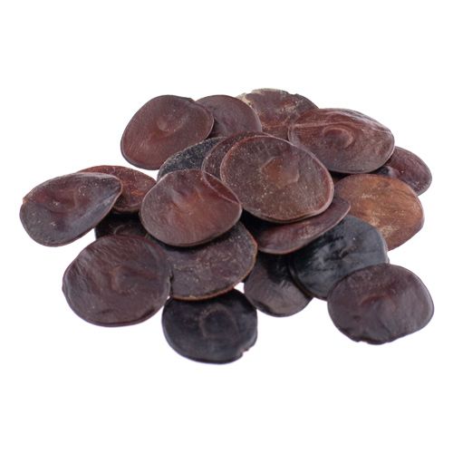 Cebil - Anadenanthera colubrina | Dutch-smart.nl