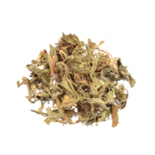 Klip Dagga | Leonotis Nepetifolia